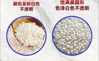 嘉兴粽子用的什么糯米_圆糯米还是长糯米