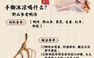 鸭汤怎么炖好喝_老鸭汤的做法步骤