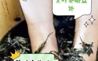 艾草热水泡脚害了多少人_真相与误区