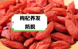 枸杞头什么人不能吃_枸杞头功效与禁忌