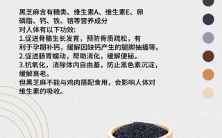 黑芝麻的营养价值_黑芝麻的功效与作用