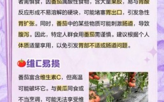 西红柿一天吃几个最好_吃多了会怎样