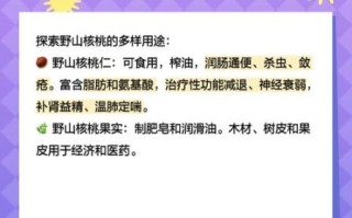 野生核桃的营养价值_野生核桃怎么挑选