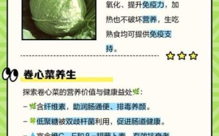 卷心菜的功效与作用_卷心菜的营养价值有哪些