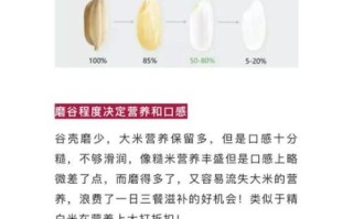 胚芽米和大米有什么区别_哪个更营养