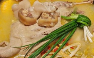 老鸭煲图片高清_老鸭煲怎么做好吃