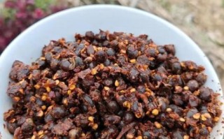 干豆豉怎么做好吃_干豆豉的家常做法