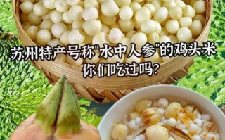 新鲜鸡头米煮多久熟最嫩_鸡头米煮几分钟口感最好