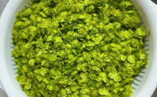 榆钱是什么_榆钱怎么吃