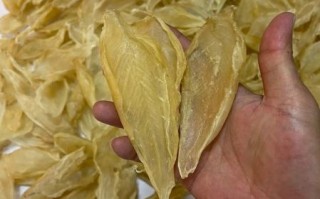 白花胶多少钱一斤_白花胶价格影响因素