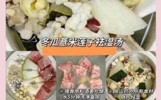 6月适合煲什么汤_夏季祛湿汤怎么做