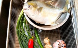 金鲳鱼怎么处理干净_金鲳鱼内脏清理步骤