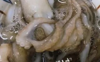 新鲜八爪鱼怎么做好吃_八爪鱼焯水几分钟才嫩