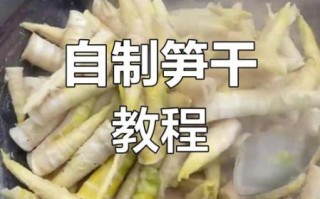 鲜竹笋怎么做好吃_鲜竹笋的做法大全图解