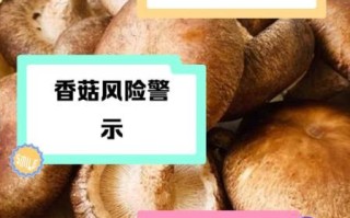 香菇肥牛零食的危害_为什么会上瘾