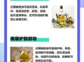 过期橄榄油还能用吗_过期橄榄油的妙用
