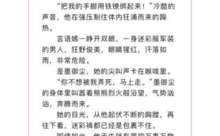 他似火军婚高干婚恋_结局是he还是be