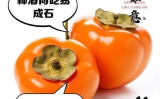 柿子不能和什么一起吃_柿子营养价值高吗