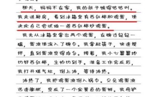 番茄炒蛋作文600字怎么写_番茄炒蛋作文600字写作技巧