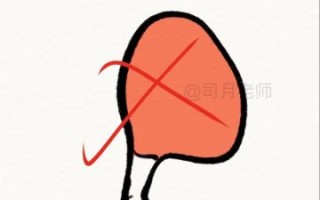 鸡腿简笔画怎么画_鸡腿可爱画法步骤