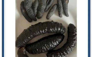 无刺海参和有刺海参哪个好_区别与选购指南