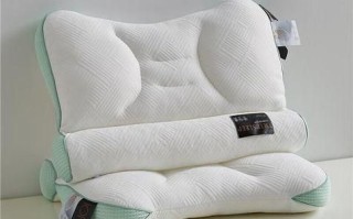 菠萝斑马颈乐枕怎么样_值得买吗