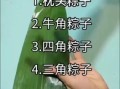 粽子怎么做_粽子需要煮多久
