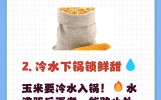 玉米煮多久能熟_玉米煮多久才软糯