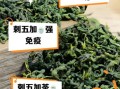 长期喝刺五加茶的危害_刺五加茶副作用有哪些
