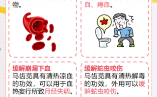 马齿苋中毒症状_马齿苋中毒怎么办