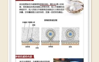 老公吃河蚌感染寄生虫_症状多久出现