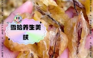 雪蛤多少钱一斤_雪蛤价格影响因素