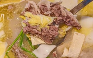 老鹅煲怎么做好吃_老鹅煲的做法大全