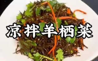 羊栖菜怎么做好吃_羊栖菜的做法大全