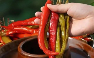 鲜辣椒酱怎么腌制_鲜辣椒酱腌制做法大全