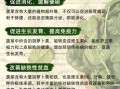菠菜的营养价值及功效与作用禁忌_什么人不能吃菠菜