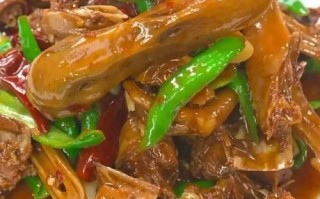 啤酒鸭家常做法_啤酒鸭怎么做才好吃