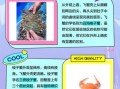 飞蟹和梭子蟹的区别图片_如何一眼分辨