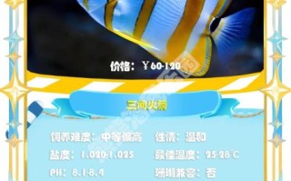 鲽鱼图片多少钱一斤_鲽鱼价格影响因素