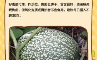 籽瓜的功效与作用_籽瓜能减肥吗