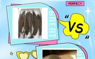 黑鱼和鲶鱼的区别_哪个更好吃