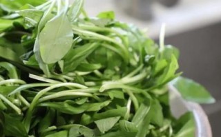 炒马兰头怎么炒才好吃_马兰头焯水几分钟