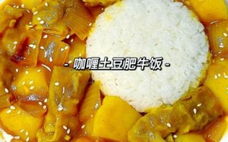 咖喱酱怎么做咖喱饭_咖喱饭做法步骤