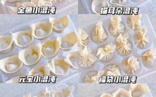 馄饨的包法图解最简单_十种新手也能学会