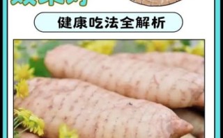 新鲜天麻怎么吃最好_新鲜天麻的五种吃法