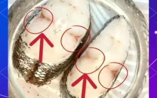 鳕鱼价格为什么差别大_鳕鱼多少钱一斤才正常