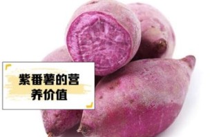 紫地瓜的营养价值_紫地瓜的功效与作用