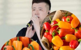 辣椒视频怎么赚钱_辣椒视频靠谱吗