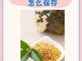 新鲜桂花怎么制作_新鲜桂花怎么保存