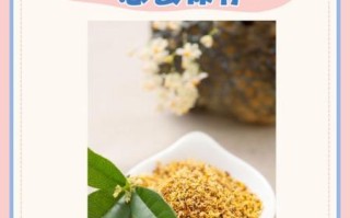 新鲜桂花怎么制作_新鲜桂花怎么保存